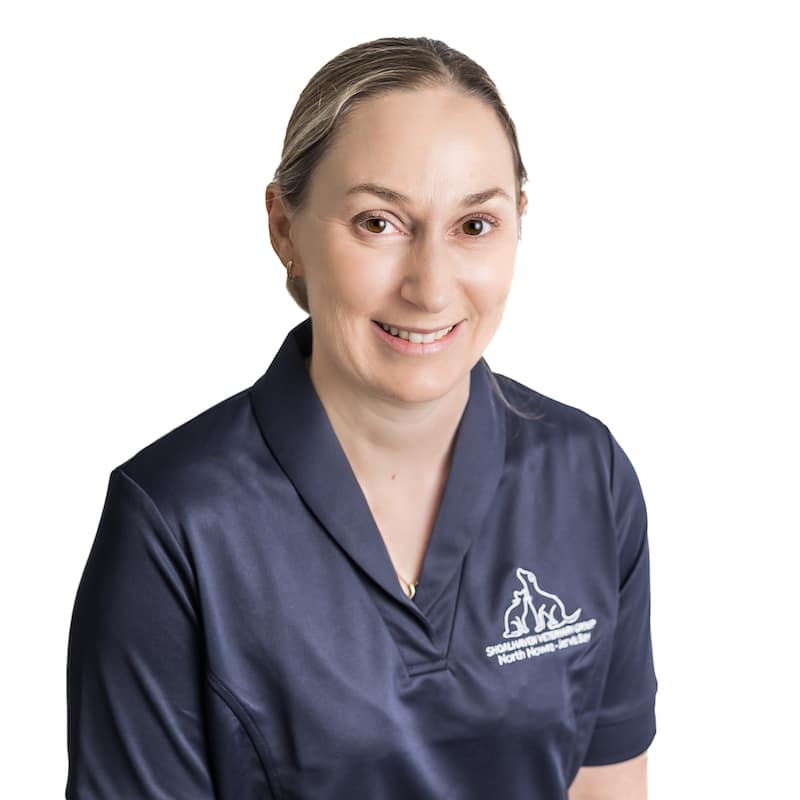 North Nowra Vet | Clinic and Hospital in North Nowra, Available 24 Hours